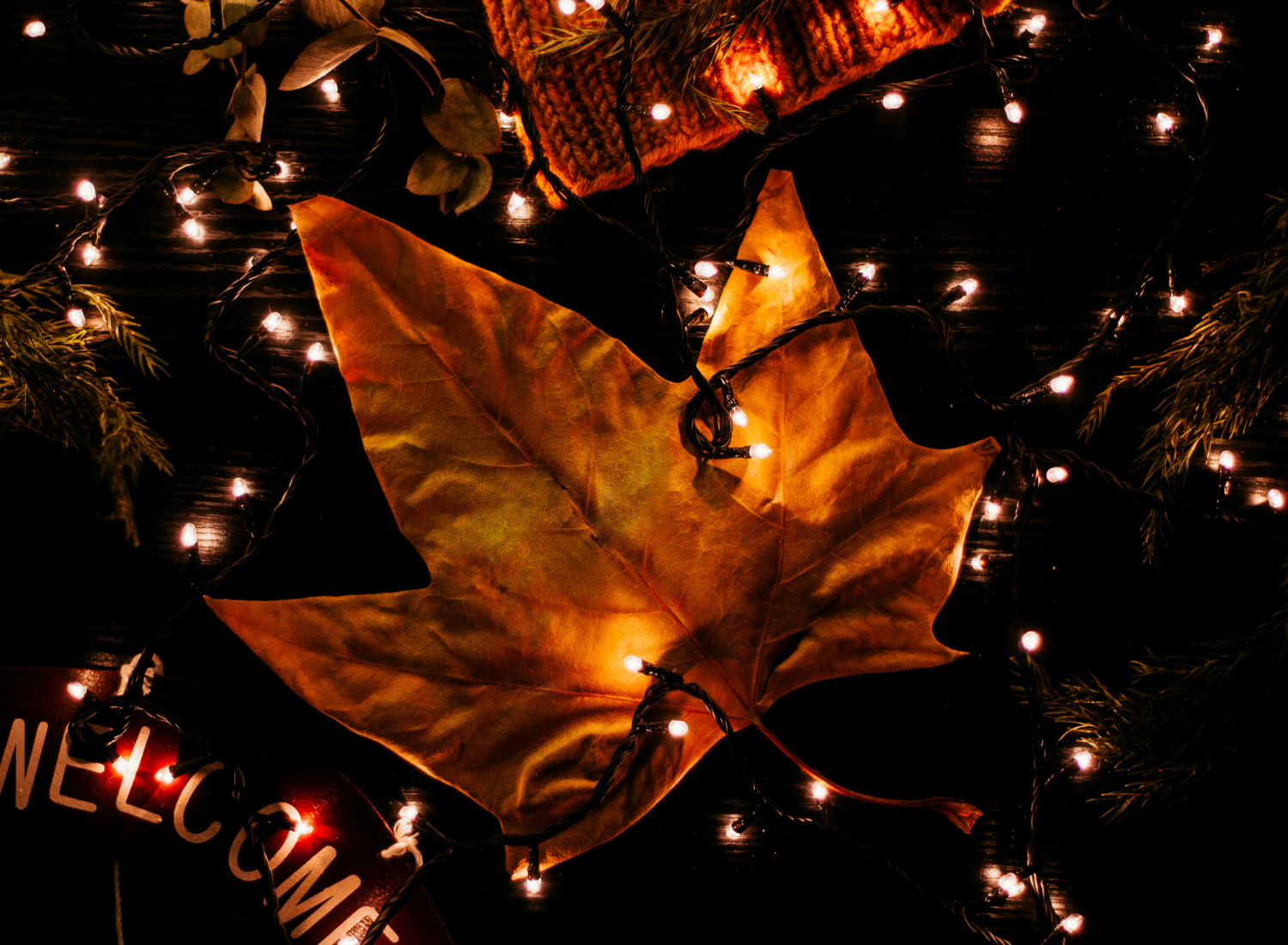 Outdoor Electrical Safety Tips for Fall - High West Electric | Beyond ...